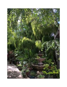 HomeII – ROBERTA WALKER LANDSCAPE DESIGN