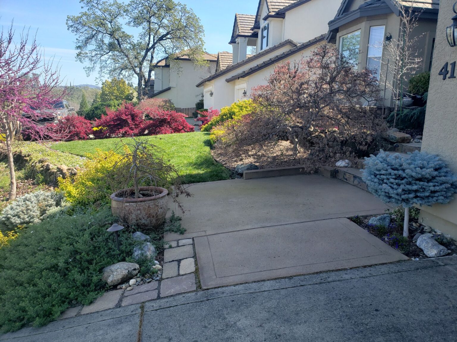 Gallery - ROBERTA WALKER LANDSCAPE DESIGN