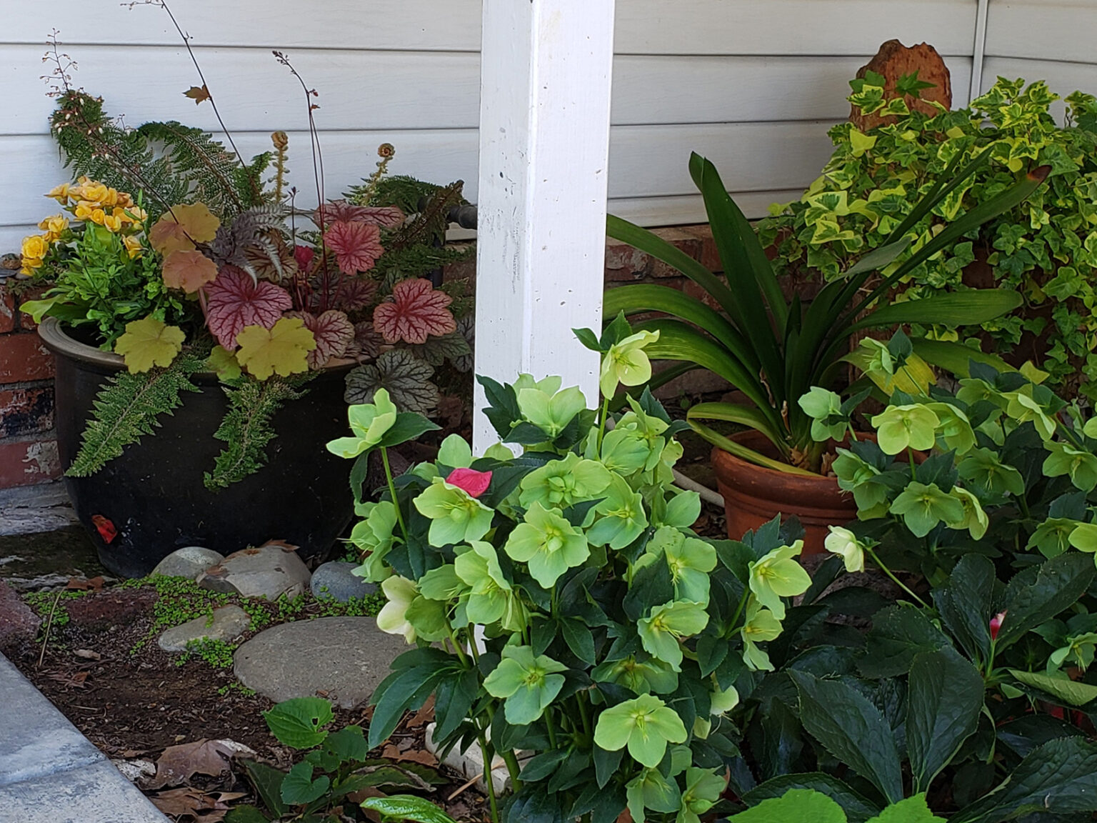 Gallery - ROBERTA WALKER LANDSCAPE DESIGN