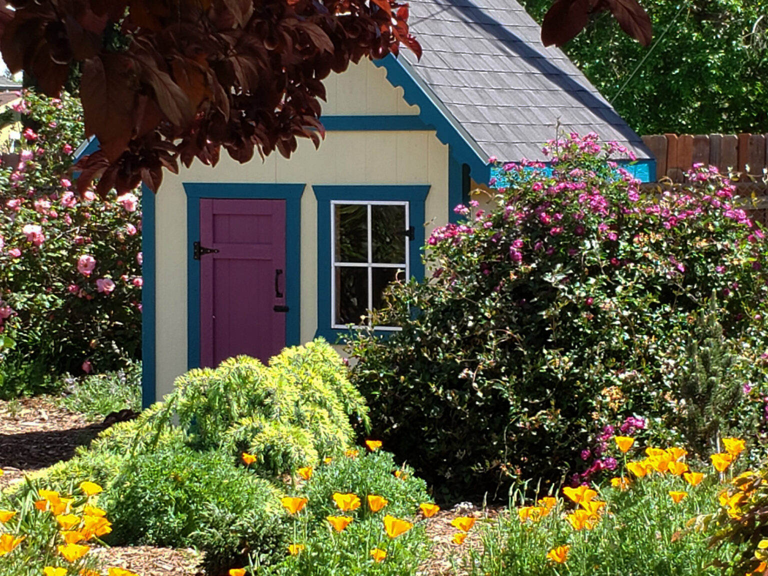 Gallery – ROBERTA WALKER LANDSCAPE DESIGN