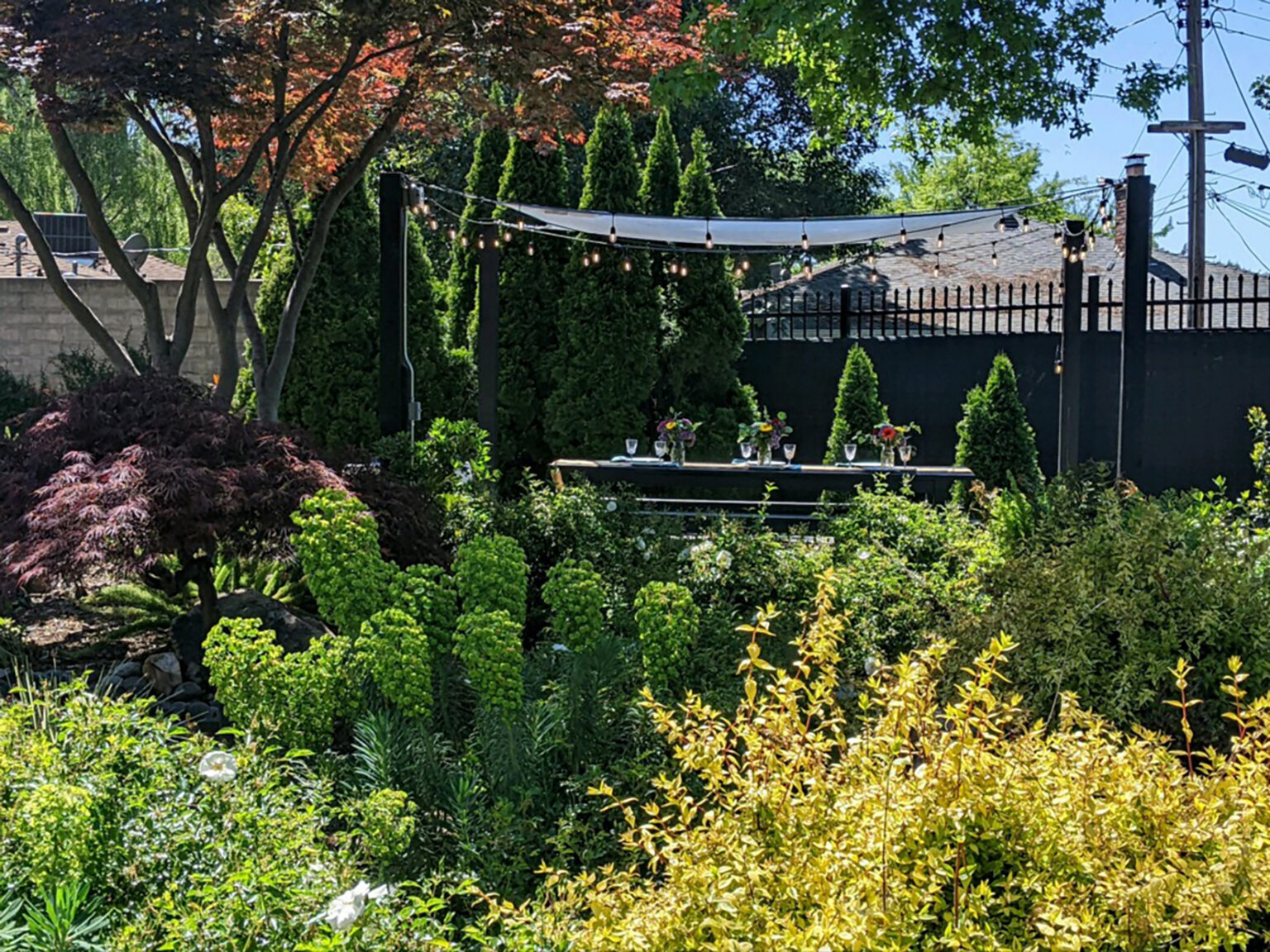 Gallery - ROBERTA WALKER LANDSCAPE DESIGN