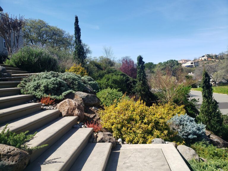 Gallery - ROBERTA WALKER LANDSCAPE DESIGN