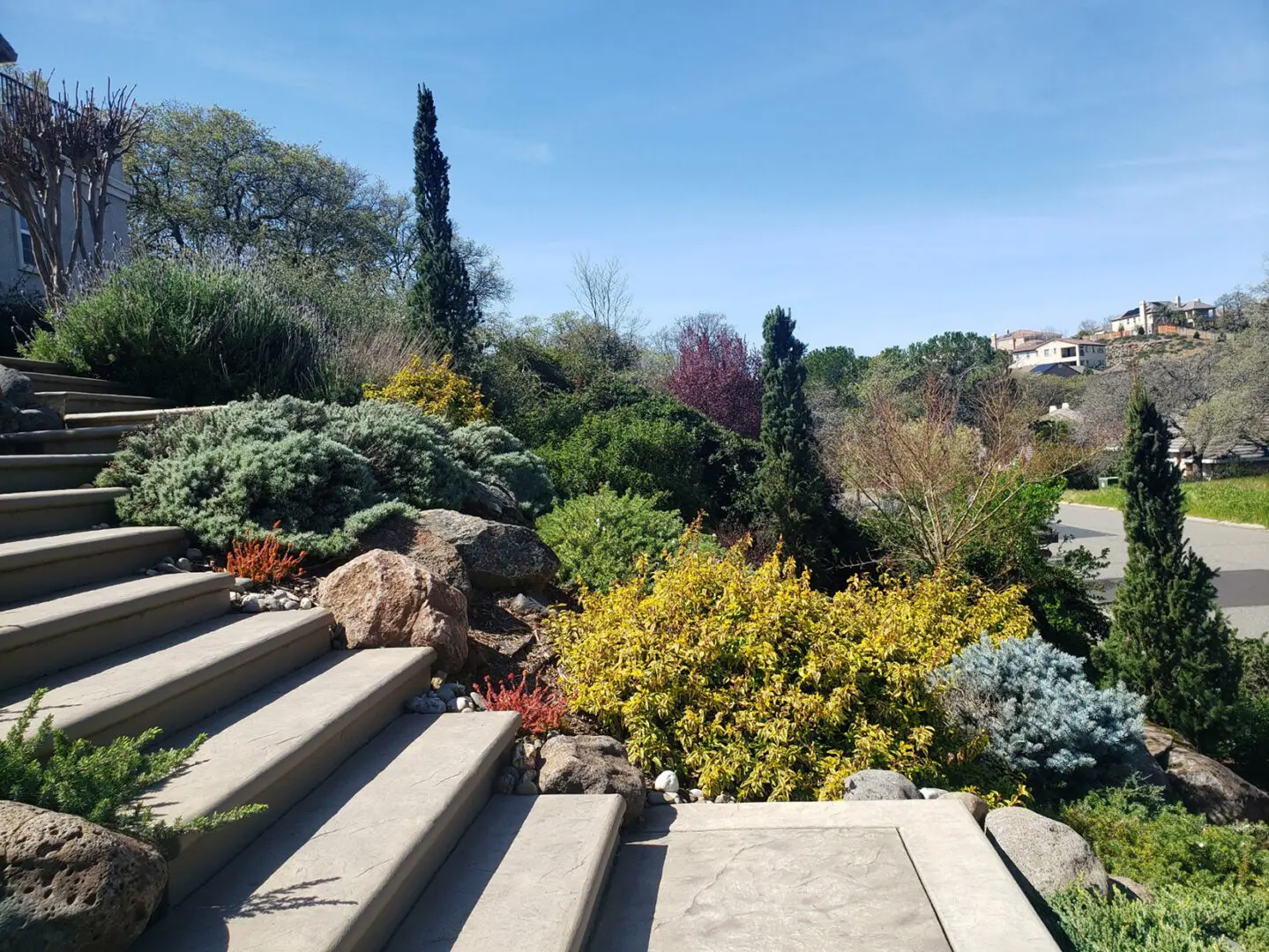 Gallery - ROBERTA WALKER LANDSCAPE DESIGN